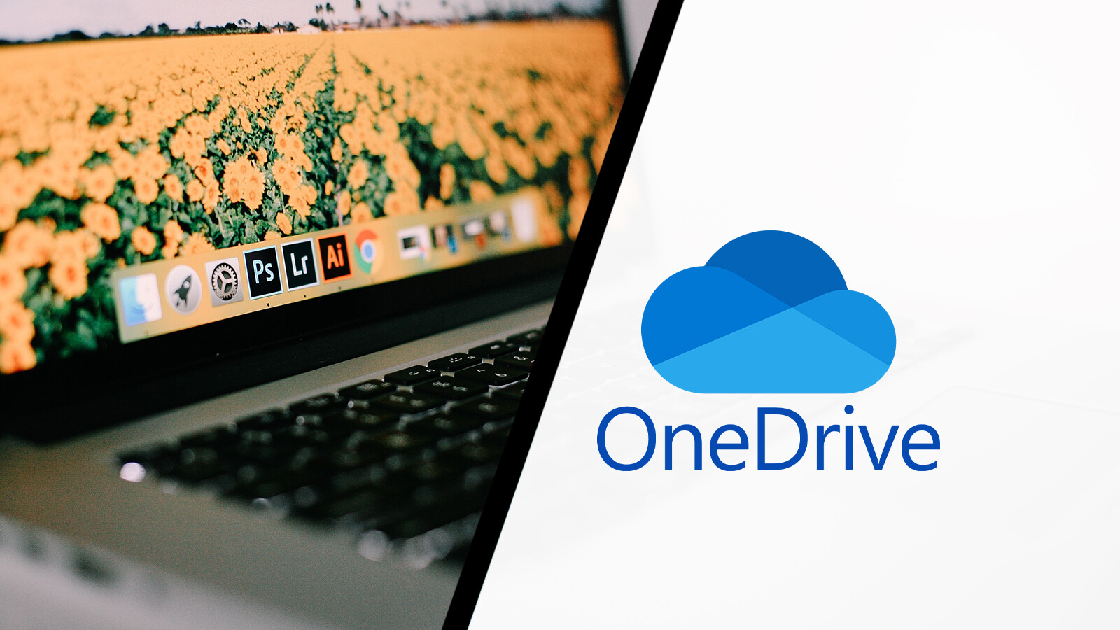 Microsoft OneDrive: So synchronisiert ihr Dateien unter macOS | NETZWELT