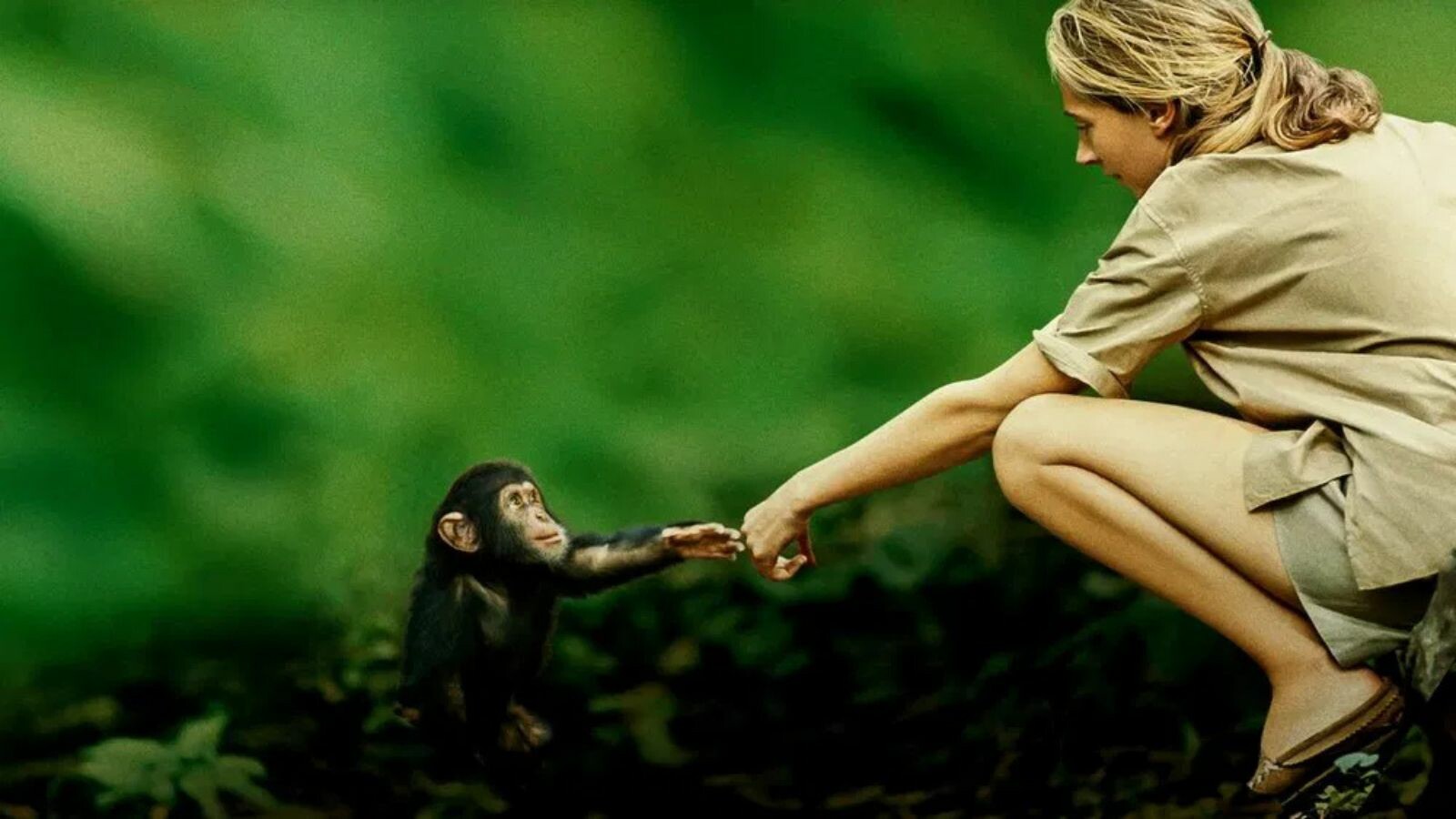 Aus traurigem Anlass: Diese Dokus zeigen, wer Jane Goodall wirklich war ...