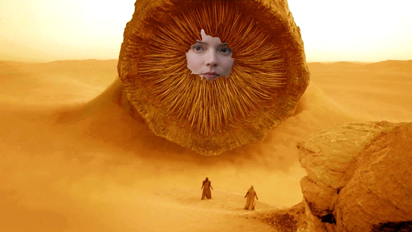 Dune 2: Anya Taylor-Joy für die Sci-Fi-Fortsetzung bestätigt! Welche Rolle wird sie spielen ...