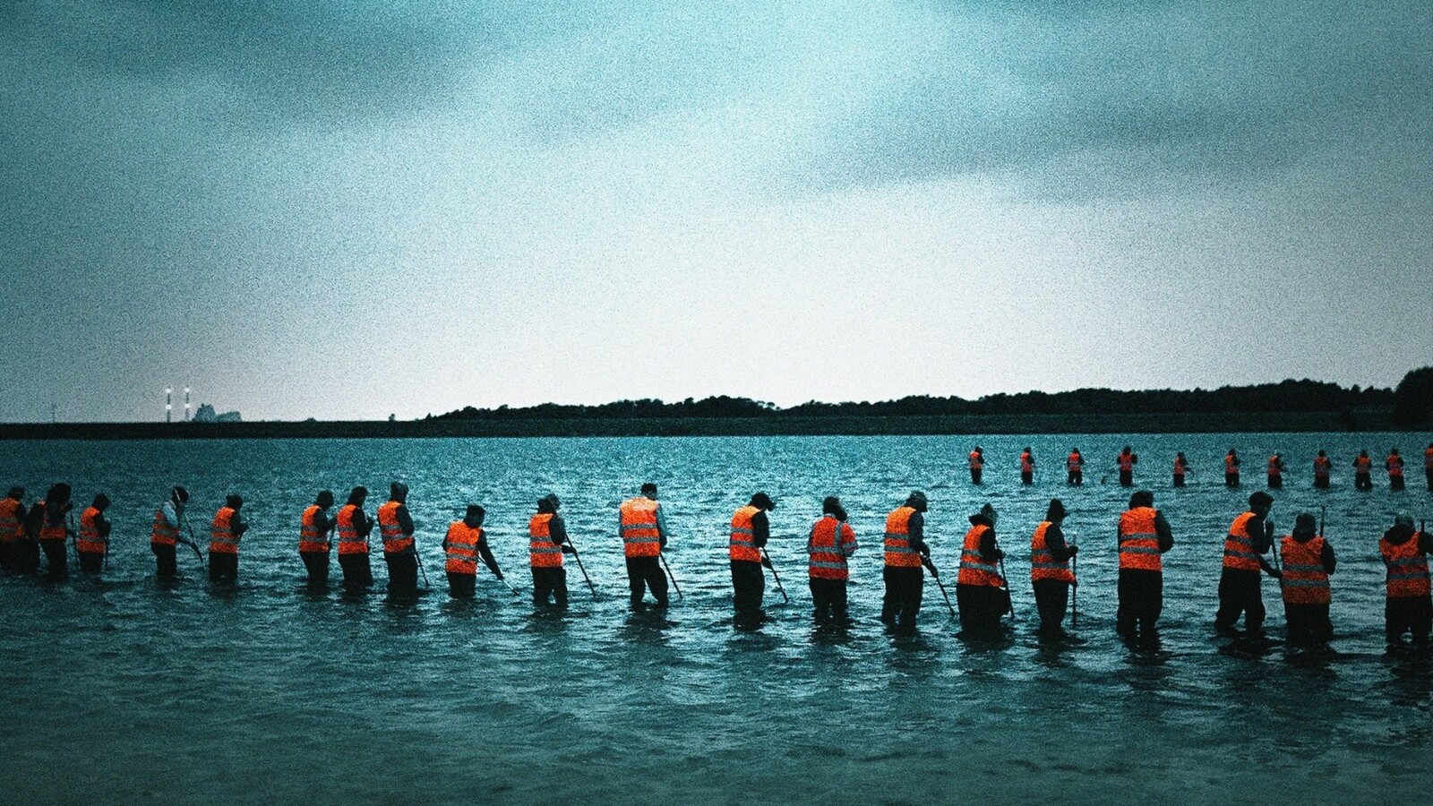The Investigation - Der Mord an Kim Wall | Staffeln und Episodenguide ...