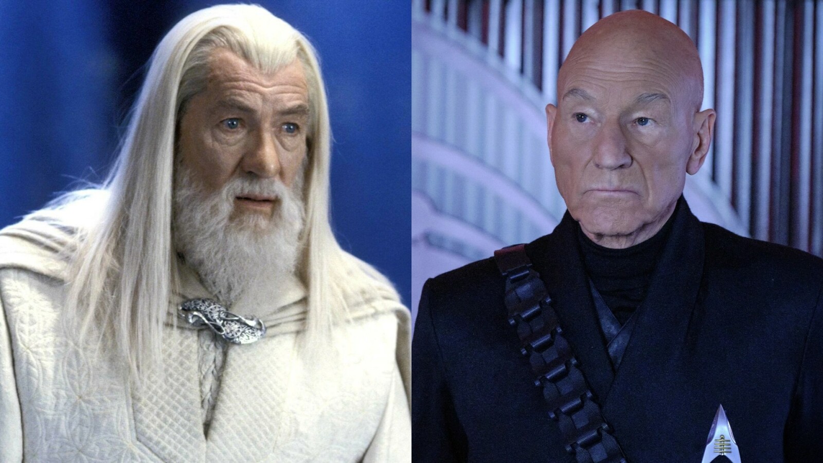 Star Trek: "Der Herr der Ringe"-Star hätte Patrick Stewarts Captain ...