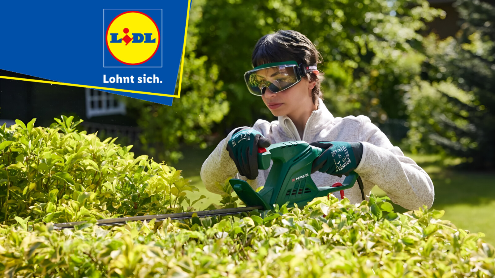 Attraktiver Lidl-Deal: Auf diese Elektro-Heckenschere könnt ihr jetzt ...