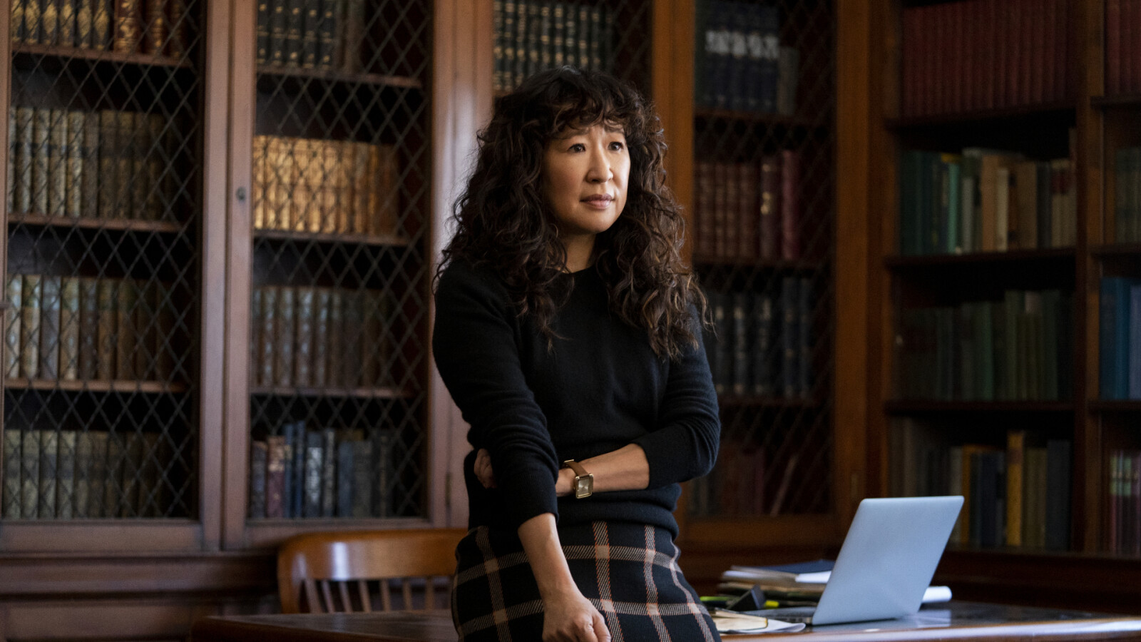 Die Professorin | Episodenguide & Staffeln | Alle Infos zur Netflix ...