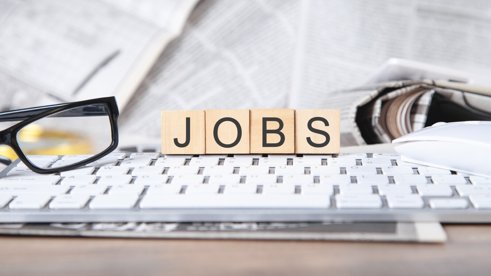 Die 5 wichtigsten Skills, um im Jahr 2024 einen Job zu finden | NETZWELT