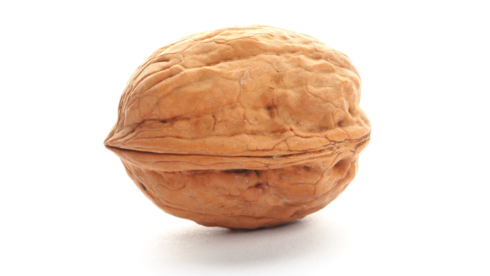 Was bedeutet "in a nutshell"? | NETZWELT