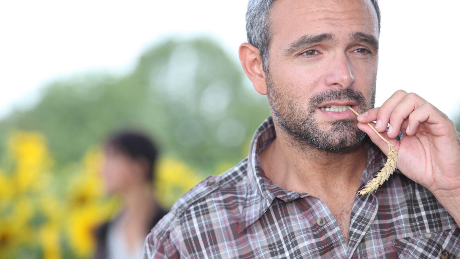 Was bedeutet "Bloke"? Bedeutung und Verwendung | NETZWELT