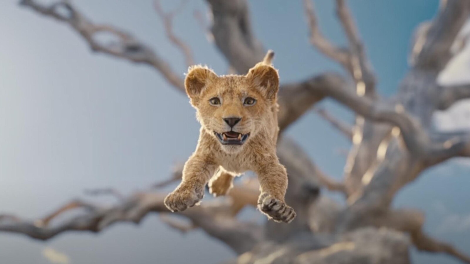 Mufasa - Der König der Löwen: Der erste Trailer ist da - So emotional ...