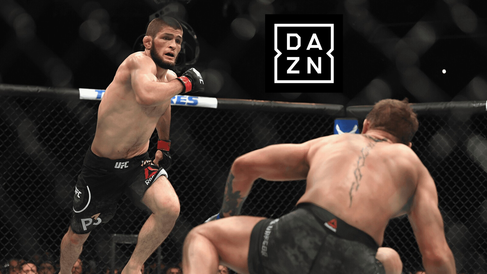 UFC bei DAZN: So seht ihr die Kämpfe im Oktagon im Live-Stream | NETZWELT