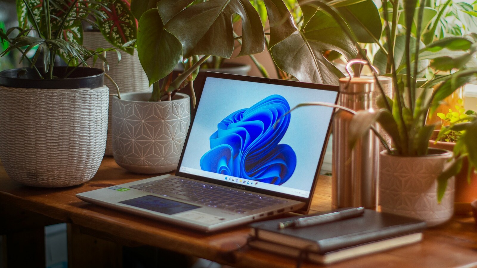 Windows 11 austricksen: Mit diesem Tool ist ein Update für fast jeden ...