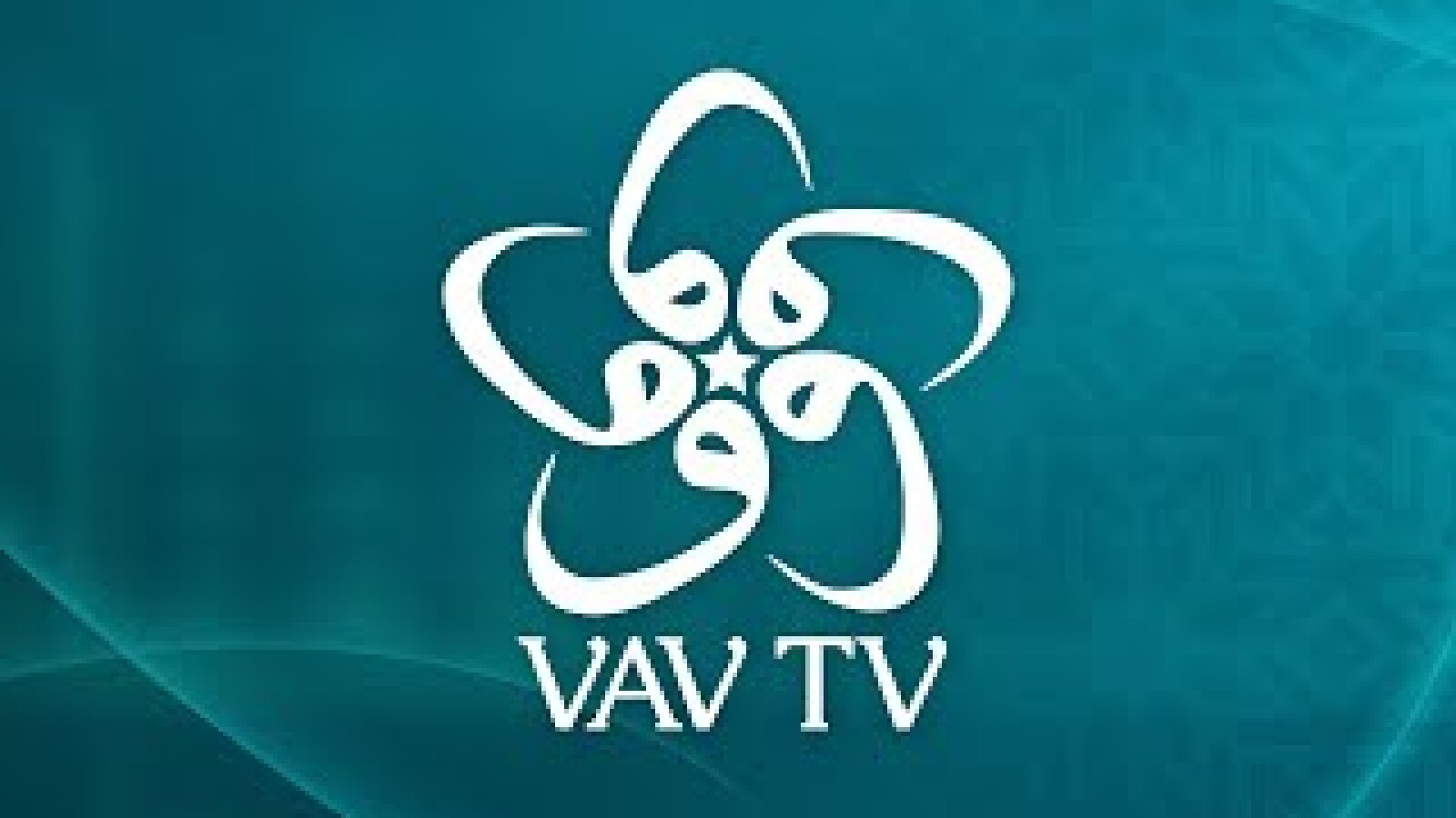 VAV TV-Live-Stream: Legal und kostenlos VAV TV online schauen | NETZWELT