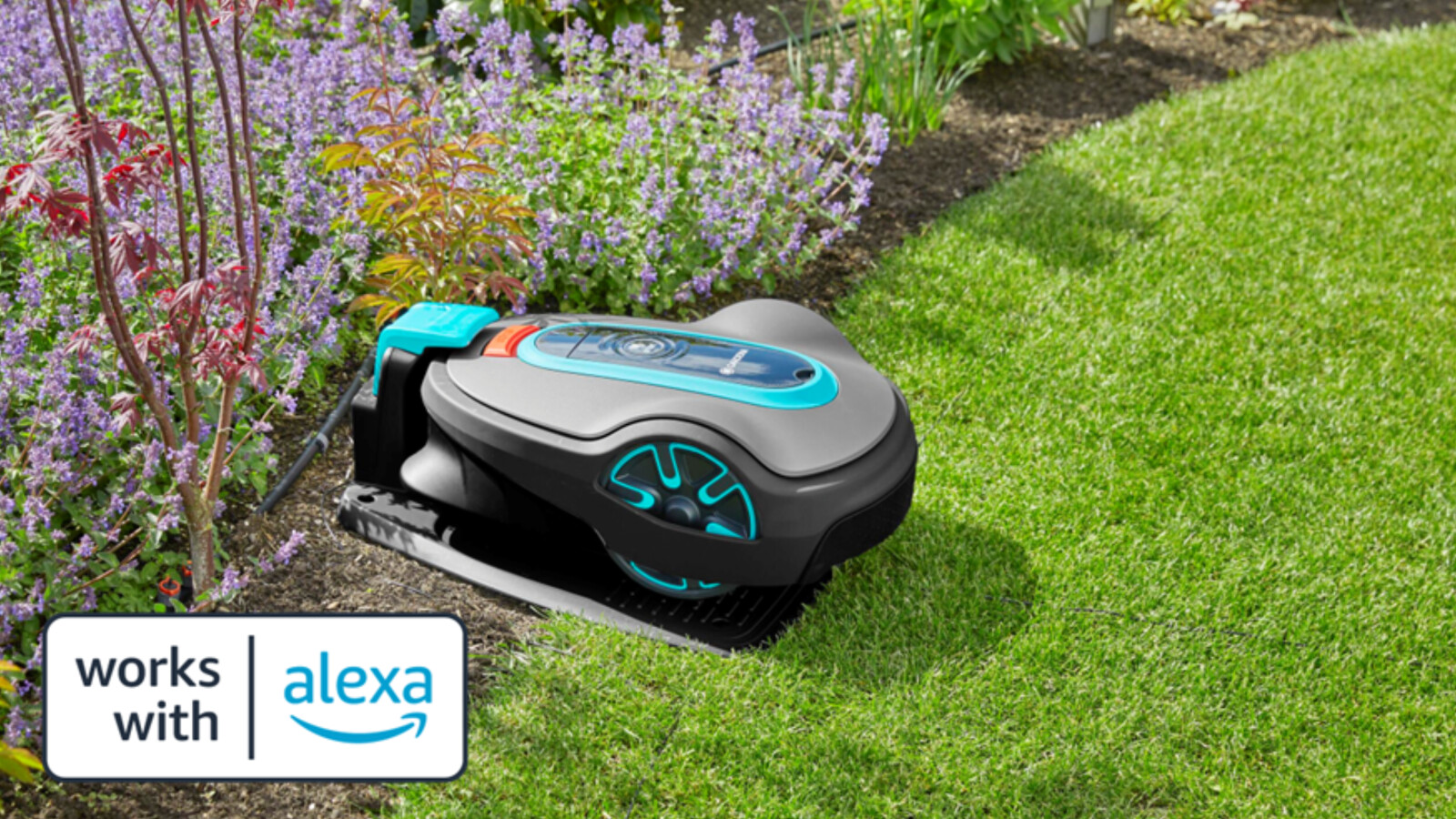 Alexa im Garten nutzen: Dank dieser smarten Geräte bleibt ihr entspannt ...