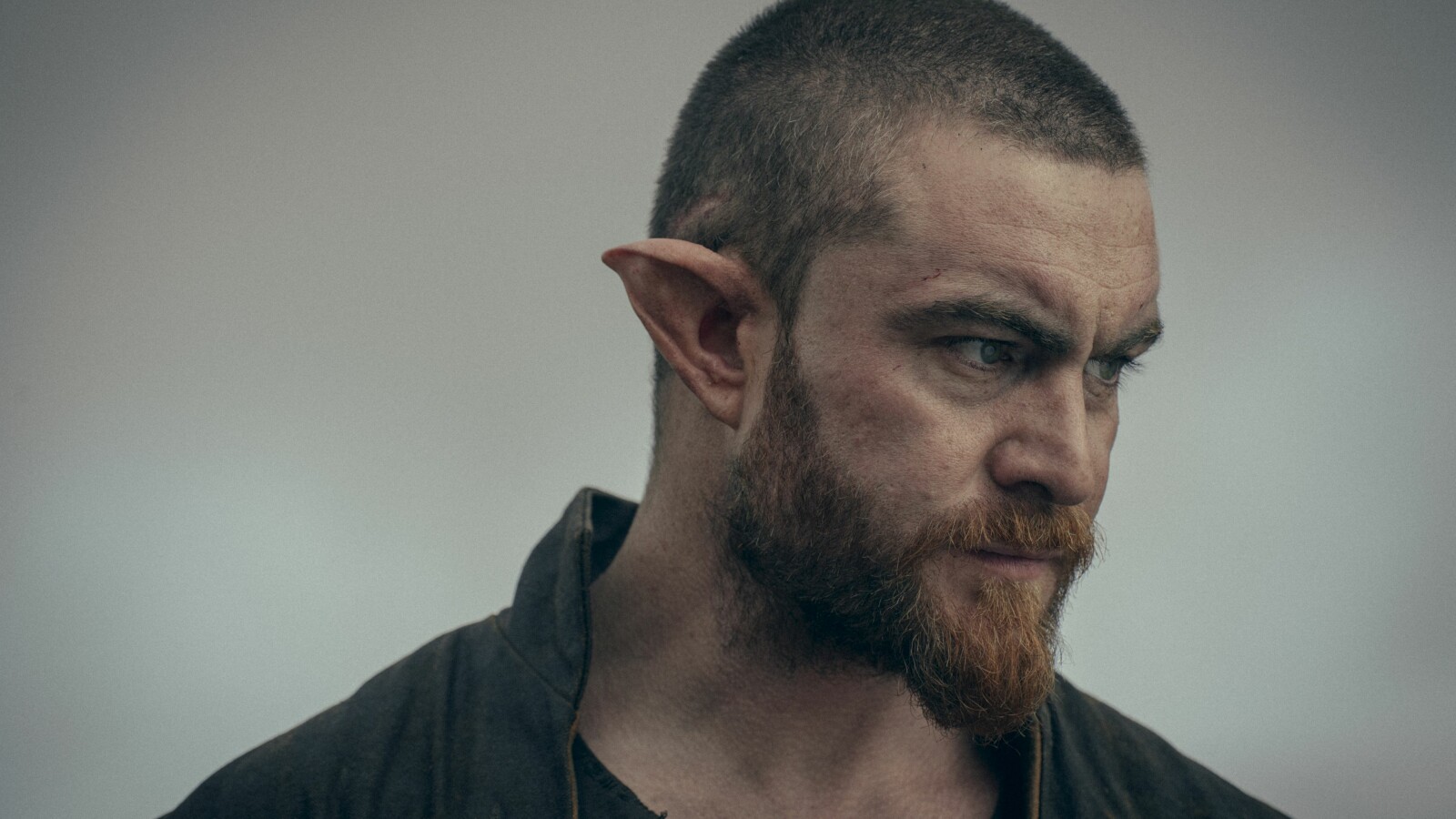 The Witcher - Blood Origin: Die Entstehung der ersten Hexer erklärt ...