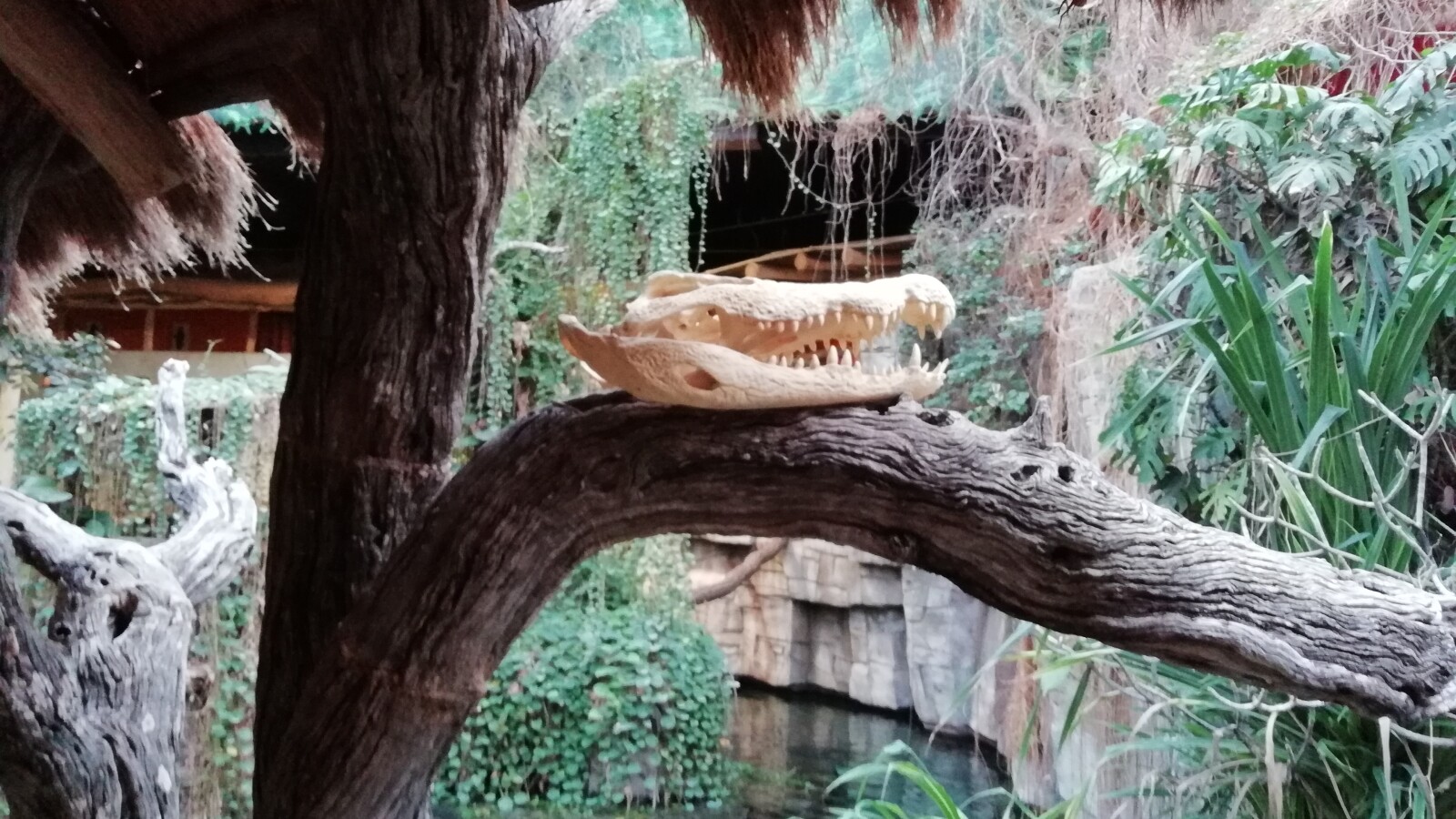 Honor 9 Lite: Kamera-Samples | NETZWELT