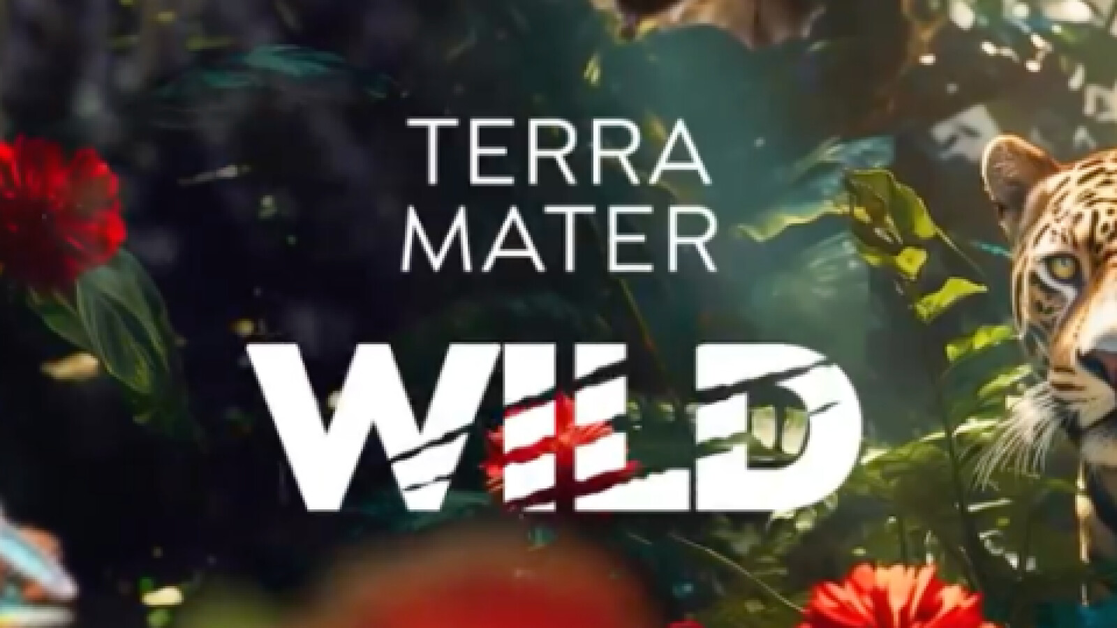 Terra Mater WILD-Live-Stream: Legal und kostenlos Terra Mater WILD online schauen | NETZWELT