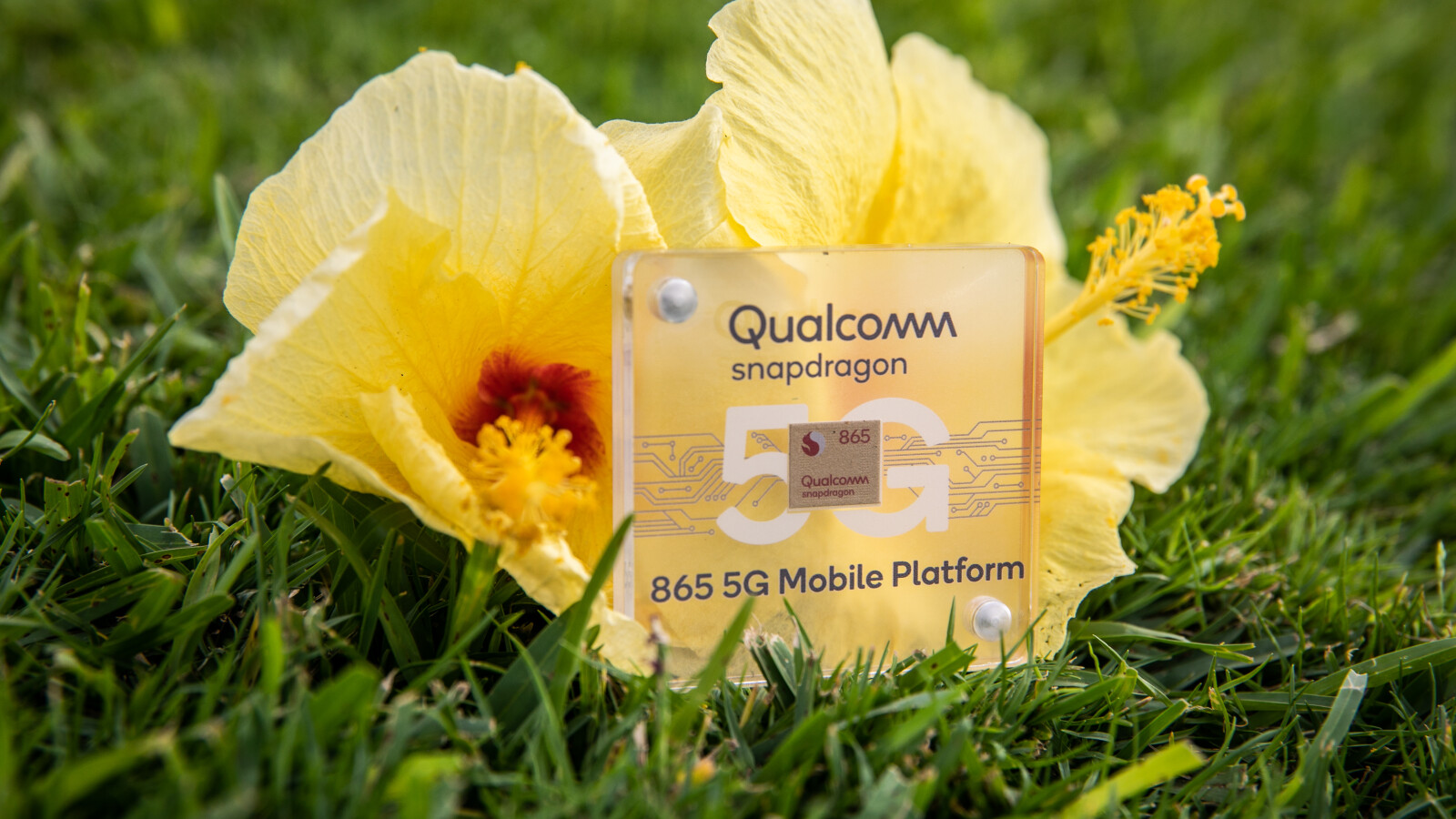 Qualcomm Snapdragon 865 vorgestellt: Diese Features erwarten euch im ...