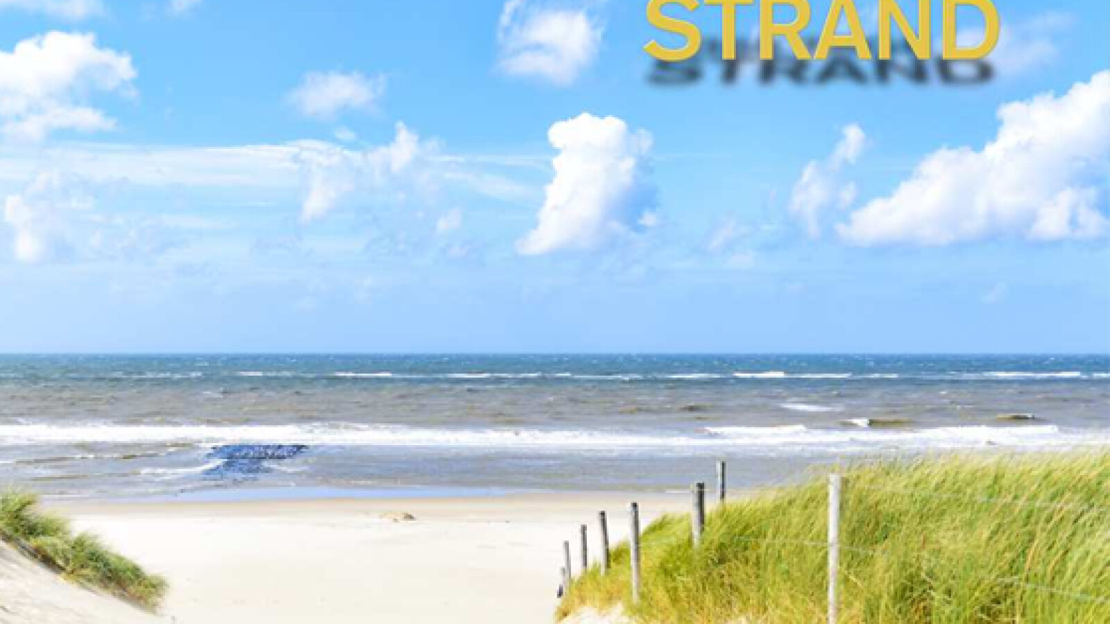 365 Tage Strand | Sendetermine & Stream | Dezember/Januar 2026 | NETZWELT