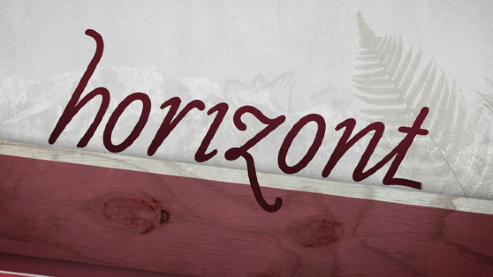 Horizont | Sendetermine & Stream | Mai/Juni 2026 | NETZWELT