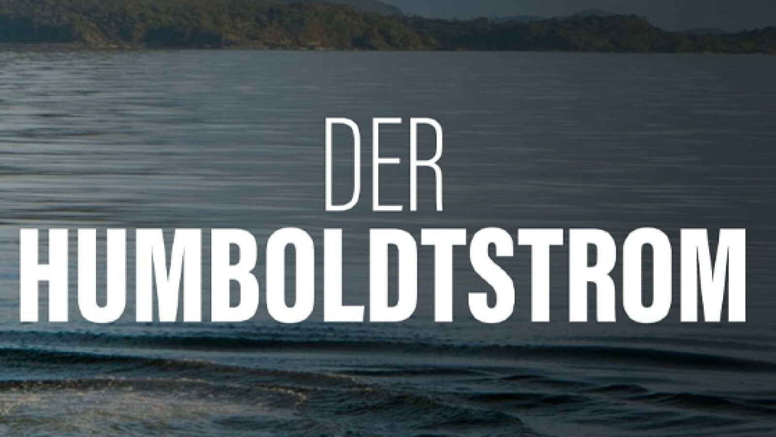 Der Humboldtstrom | Sendetermine & Stream | Mai/Juni 2026 | NETZWELT