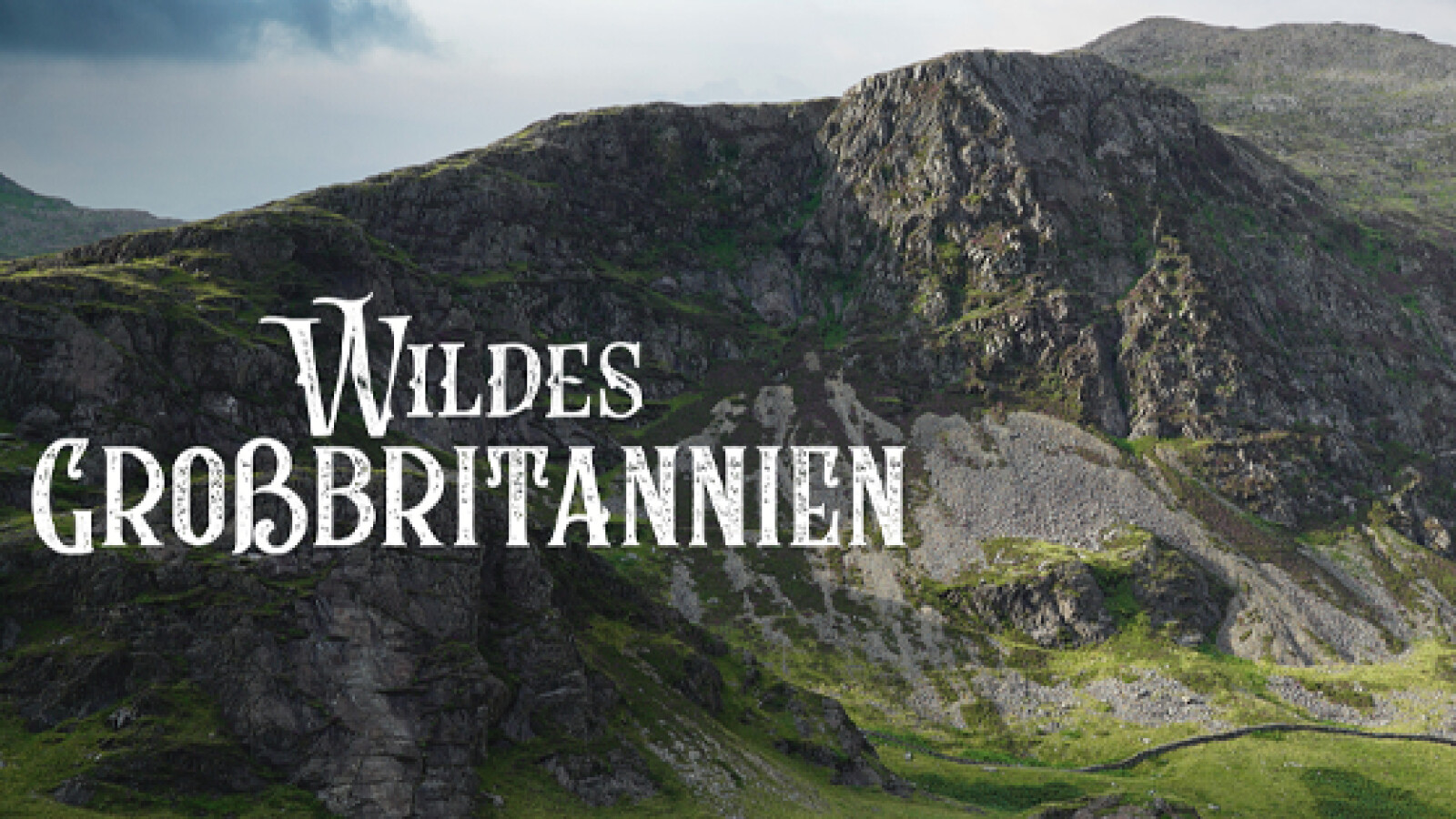 Wildes Großbritannien | Sendetermine, Stream & Vorschau | Oktober/November 2025 | NETZWELT