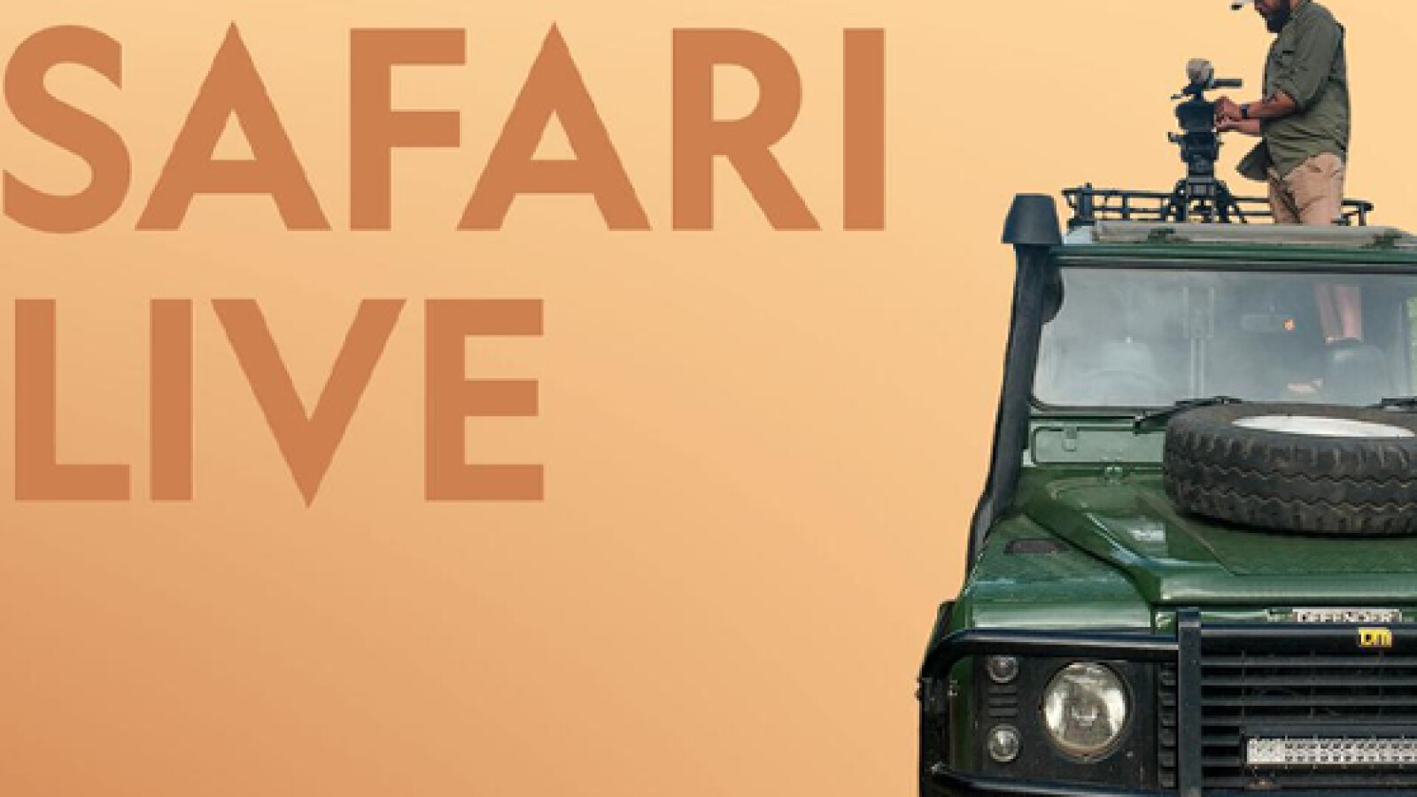 Safari Live | Sendetermine & Stream | Dezember/Januar 2026 | NETZWELT