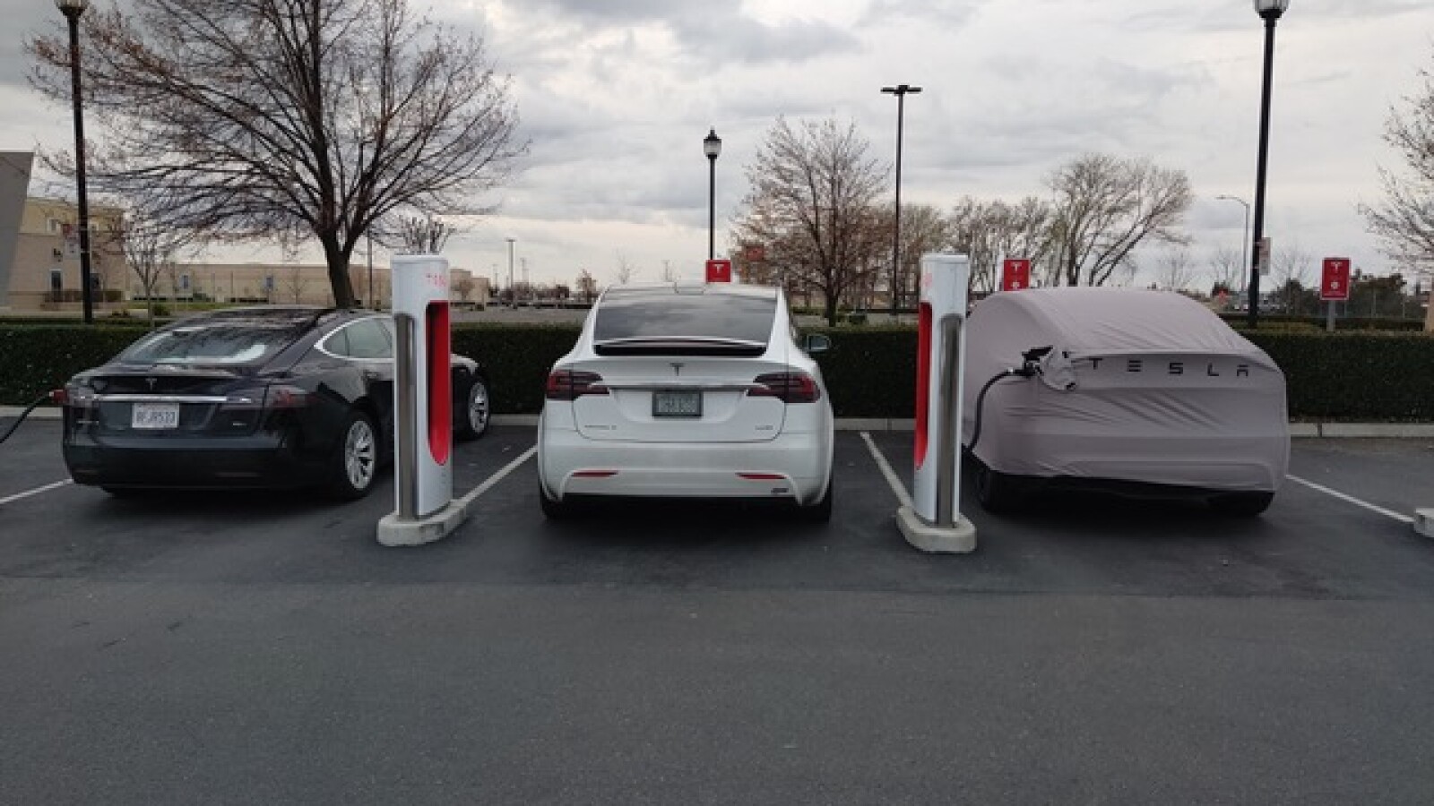 Tesla model x model y store