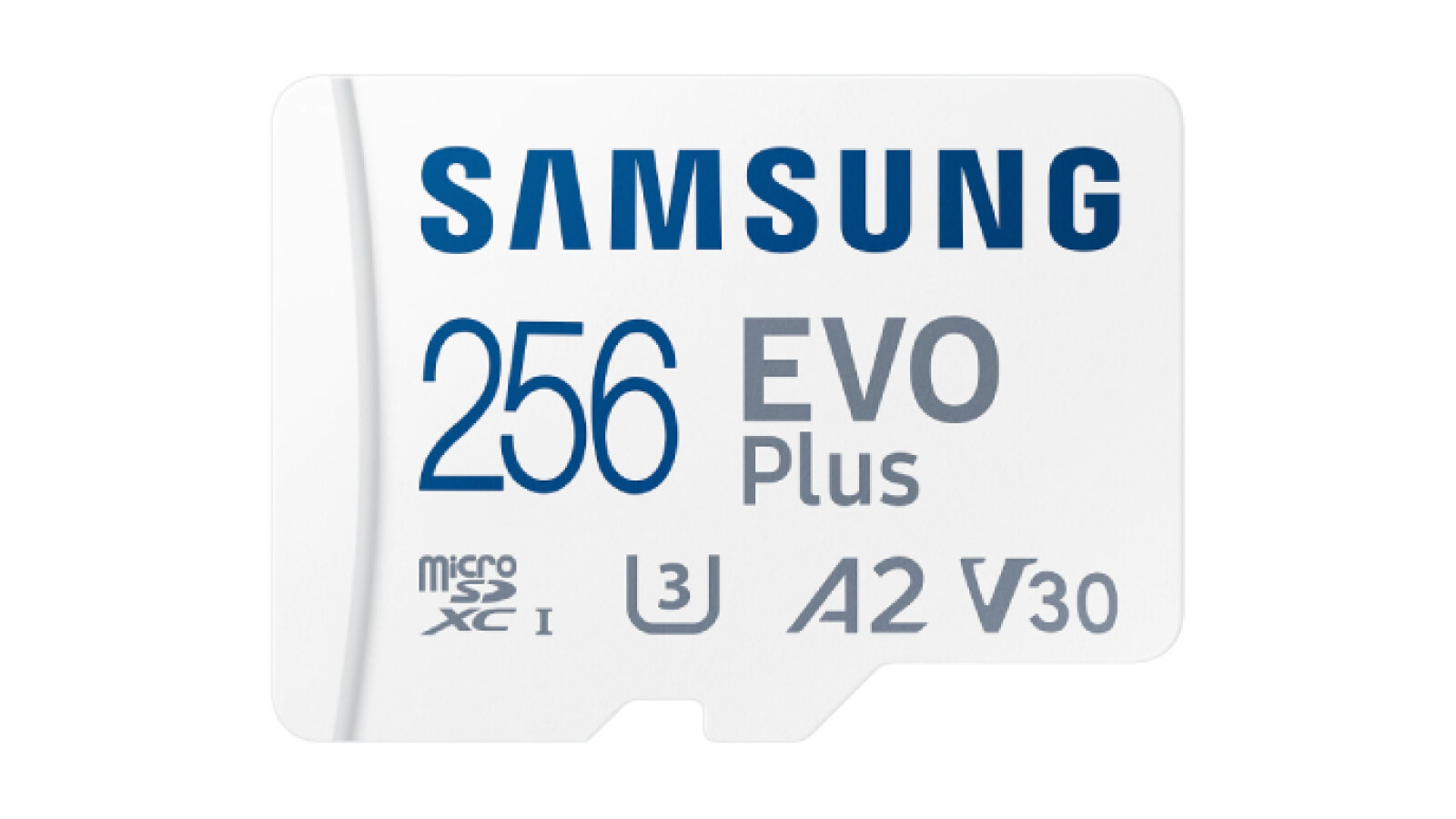 Samsung microSD EVO Plus (2021) | NETZWELT