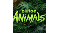 Pluto TV Movies-Live-Stream: Legal und kostenlos Pluto TV Movies online ...
