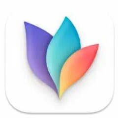 Mindmapping-Software: Findet das ideale Tool für eure Ideen und ...