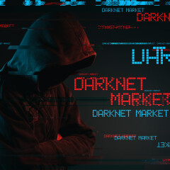 Tor-Browser: So seid ihr sicher und legal im Darknet unterwegs | NETZWELT