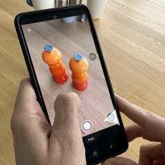 Hallo Pilzwelt: Hier kommt der Gilb der Woche | NETZWELT