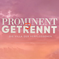 First Dates Hotel | Sendetermine & Stream | Mai/Juni 2026 | NETZWELT