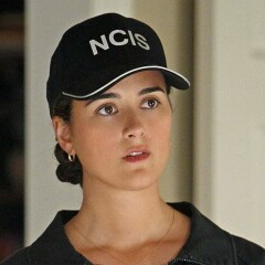 Navy CIS-Reihenfolge: So seht ihr alle NCIS-Serien chronologisch ...