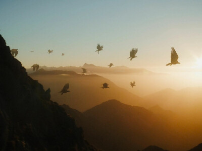 IRIB TV1-Live-Stream: Legal und kostenlos IRIB TV1 online schauen ...