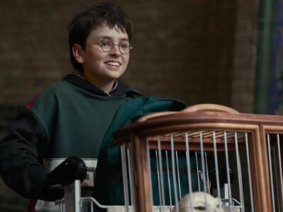 Film-Fehler im Kopf: 7 Dinge, die "Harry Potter"-Fans über das erste ...