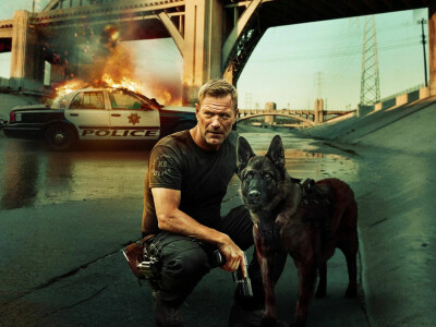 "Reacher", Staffel 4: Die neue Staffel soll noch 2026 erscheinen - Das ...