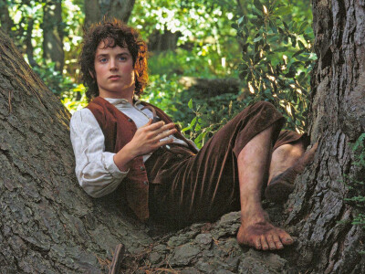 "Herr der Ringe" ab sofort bei Netflix: Warum wir echten Fans trotzdem ...
