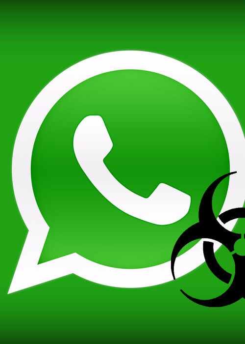 WhatsApp: Infos zum Messenger für iOS und Android | NETZWELT