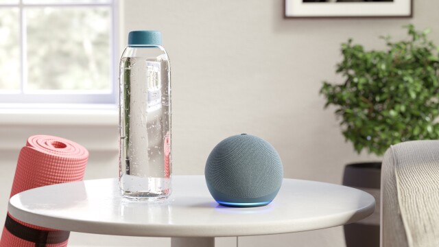 iPad im Unterricht nutzen: 12 essentielle Apps für Lehrer | NETZWELT