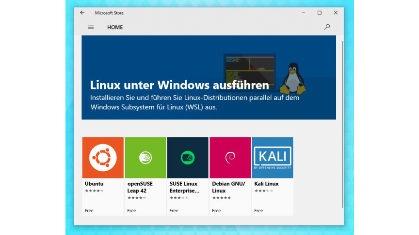 Linux Subsystem Aktivieren