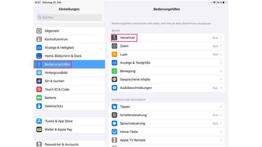 Apple iOS: So nutzt ihr die VoiceOver-Vorlesefunktion auf iPhone und ...