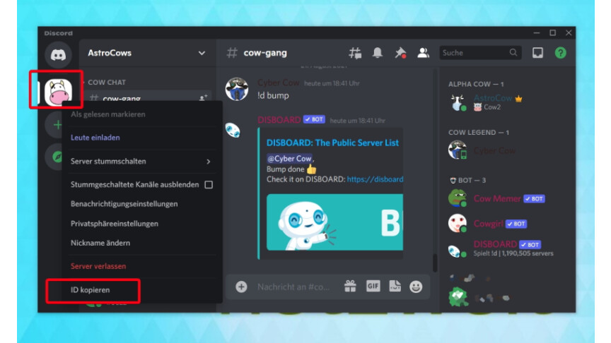 Discord: User-, Server-, Channel- und Message-ID finden - So geht´s ...