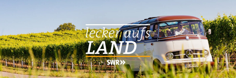 Lecker aufs Land - eine kulinarische Reise | Sendetermine & Stream ...