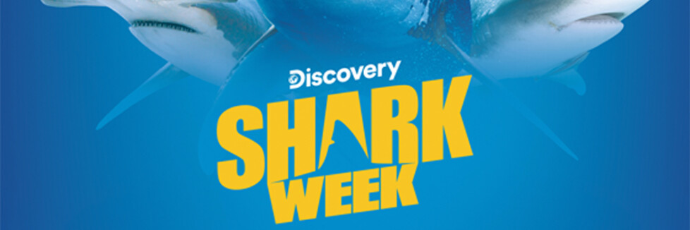 Shark Week | Sendetermine & Stream | April/Mai 2026 | NETZWELT