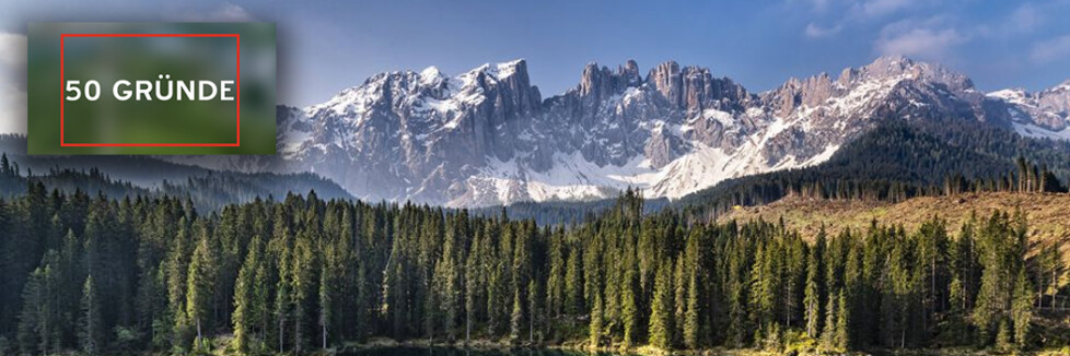 50 Gründe | Sendetermine & Stream | Oktober/November 2025 | NETZWELT