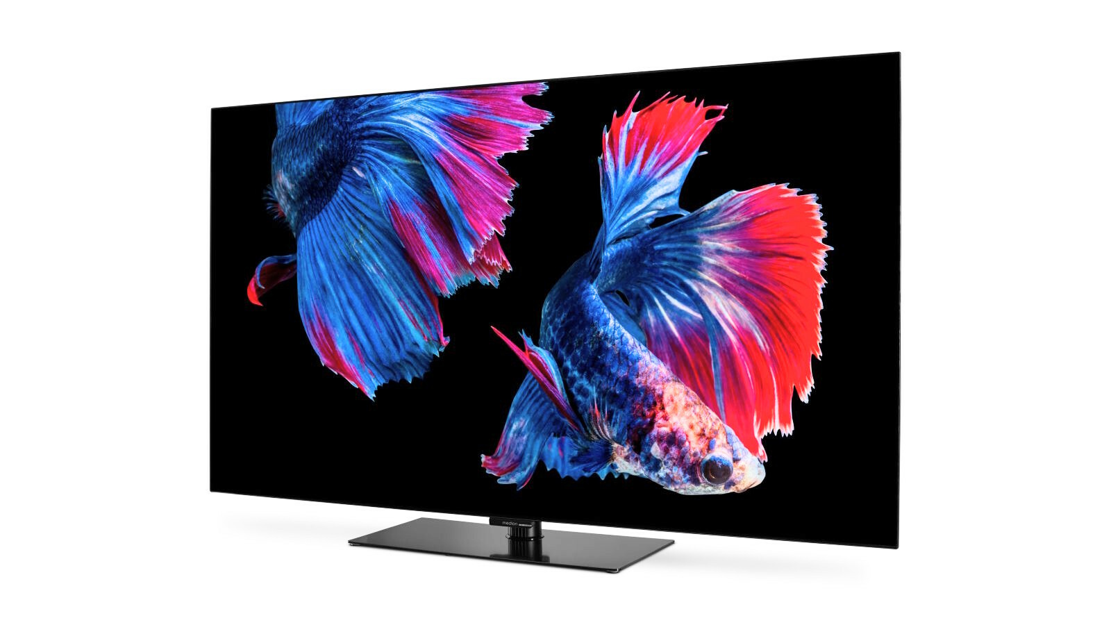 Neue Medion Fernseher 2025 mit Mini-LED & OLED: Die Preise sind der ...