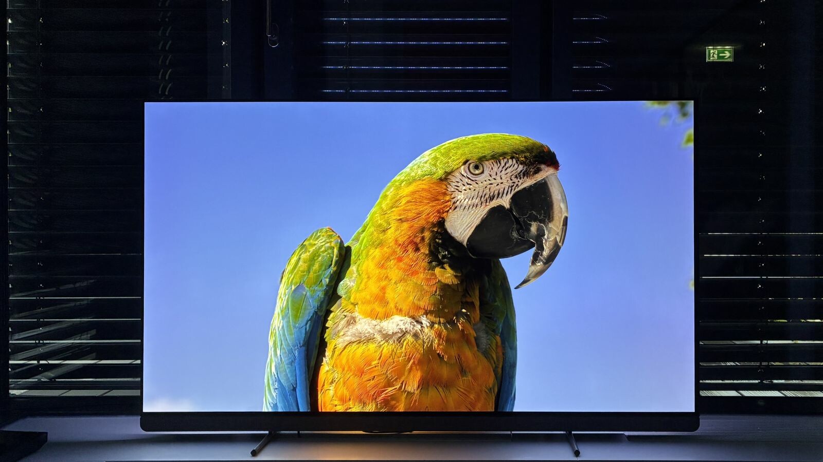 Philips OLED910 im Test: Dieser Ambilight TV bricht einen Rekord | NETZWELT
