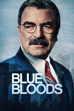 Blue Bloods - Crime Scene New York | Staffeln und Episodenguide | Alle Infos zum Krimi-Drama ...
