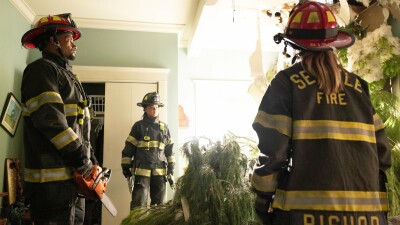 Seattle Firefighters | Staffeln und Episodenguide | Action-Drama | NETZWELT