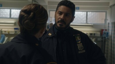 Blue Bloods - Crime Scene New York | Staffeln und Episodenguide | Alle Infos zum Krimi-Drama ...